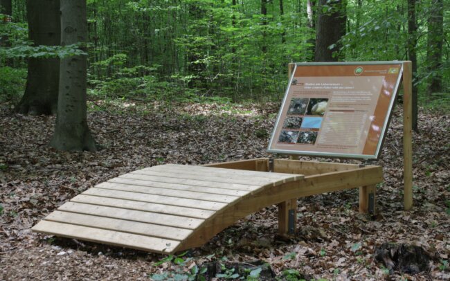 Wanderwege - Tourist Information Amberg